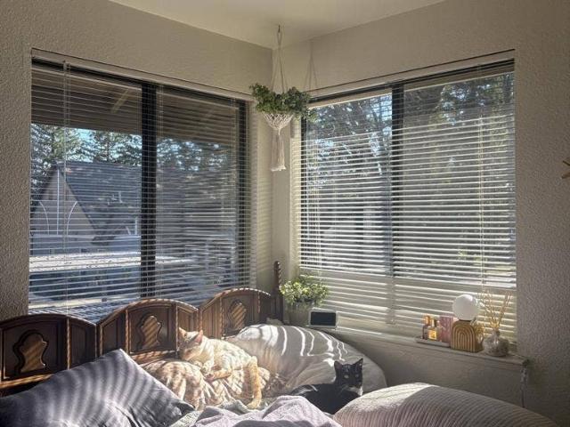 Need someone to take over my room