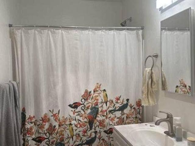Need 1 roommate