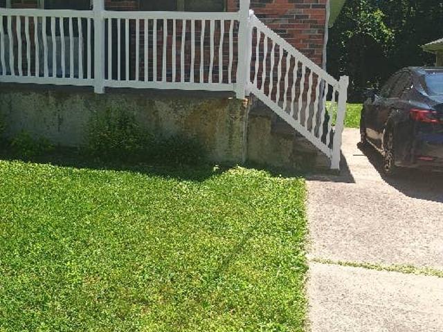 Needing a serious Roommate!