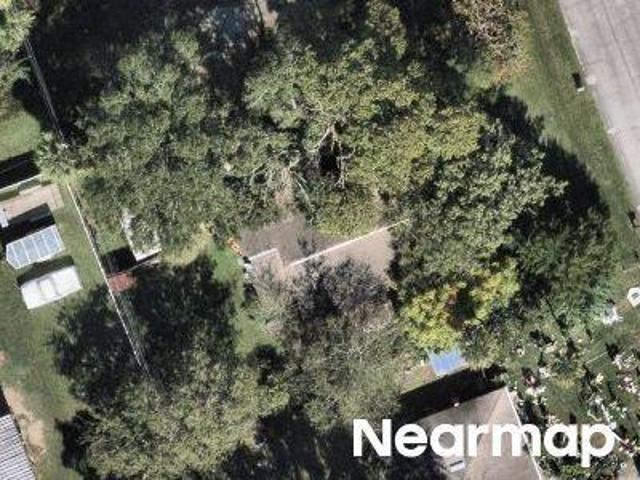 Needle Palm Dr