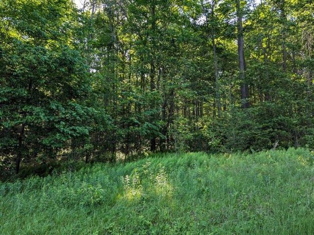 Neefe Rd, Coudersport, PA 16915