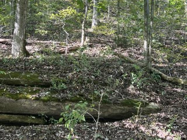 Neeley Creek Rd, Celina, TN 38551
