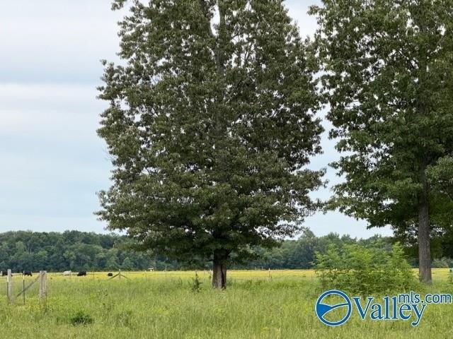 Neely Rd Lot 1, Athens, AL 35611