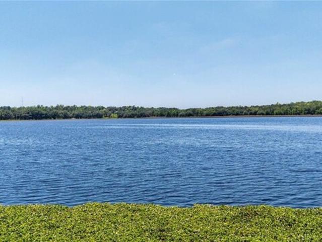 Neff Lake Rd, Brooksville, Plot For Sale