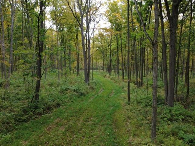 Nehrbass Rd, Athens, WI 54411