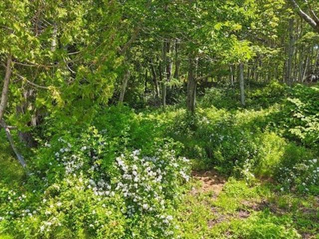Neighborhood Rd, Mount Desert, Plot For Sale