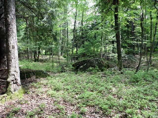 Neighborhood Rd, Shirley, NY 11967