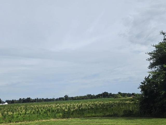 Neilson Rd, West Frankfort, IL 62959