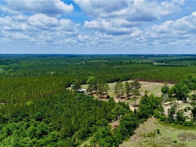 Neily Wagon Road, GA 31037