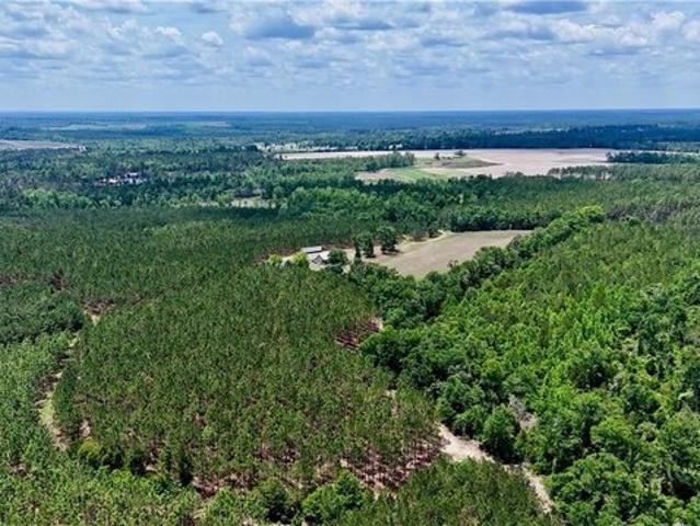 Neily Wagon Road, GA 31037
