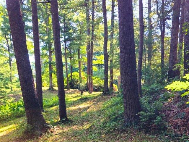 Nel Bonney Rd, Plympton, MA 02367