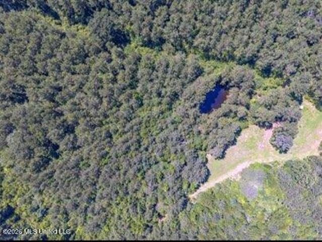 Nell Lambert Road, Jayess, MS 39641