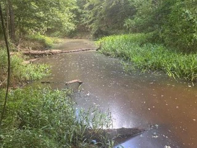 Nelson Corner Rd, Roxie, MS 39661