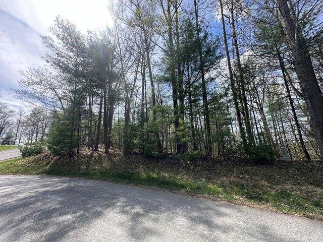 Nelson Ln, Daniels, WV 25832