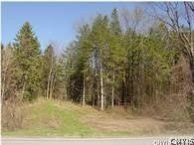 Nelson Rd, Canastota, Plot For Sale