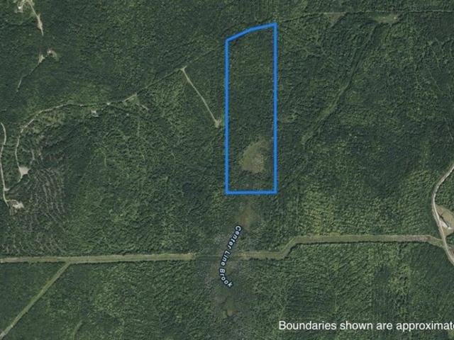 Nelson Rd, Oakfield, Plot For Sale