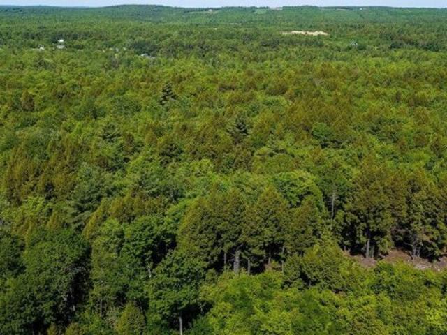 Nelson Ridge Rd N, Washington, Plot For Sale