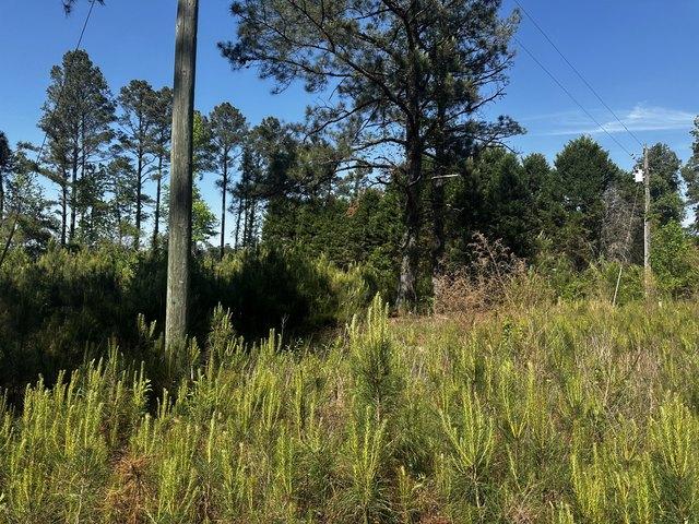 Nero Cir, Lynchburg, SC 29080
