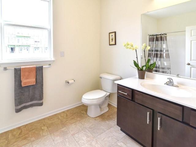 NetZero Village 1 Bedroom Apartment for Rent at 994 Burdeck St, Rotterdam, NY 12306