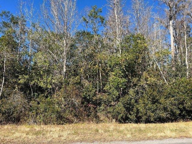 Netherland St, Orlando, FL 32833