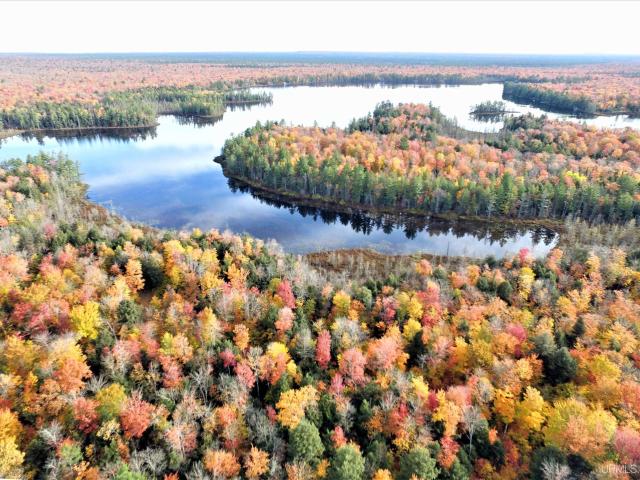 Nevins Lake Drive