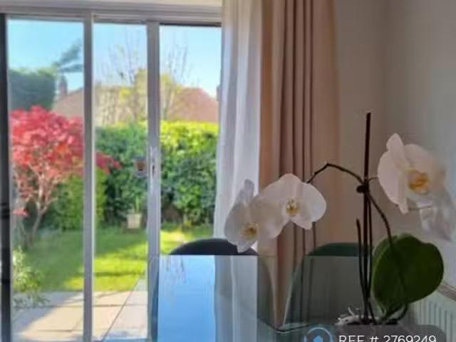 Cheap 3 BA 4 bedroom bungalow for rent in Birch Grove, Potters.