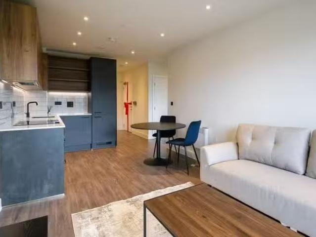 Cheap 1 BA 1 bedroom apartment for rent in Birmingham, B4