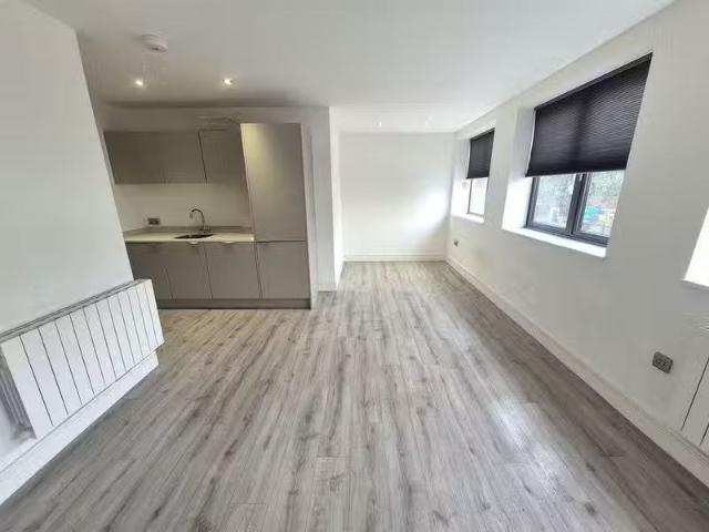 New 1 BA 1 bedroom flat for rent in Newland House, 137 139 Hag.