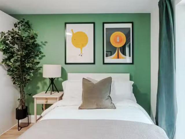 Nice 1 BA 1 bedroom house share for rent in Unit 2, Scholars V.