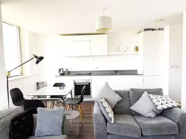 New 1 BA 2 bedroom apartment for rent in Broadway Residences.
