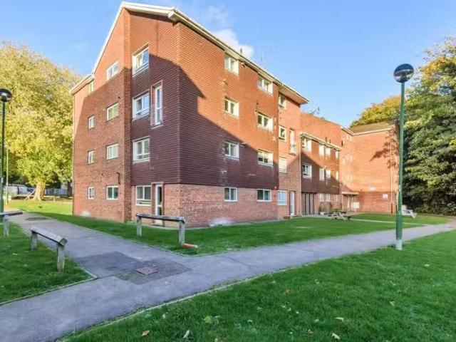 For Rent! 1 BA 2 bedroom semi detached house for rent in Park.