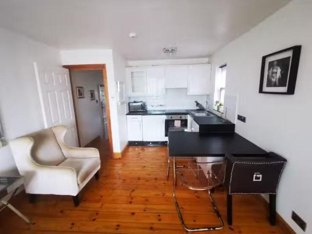 Charming 1 BA Studio apartment for rent in Amhurst Road Studio.