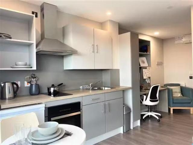 New 1 BA Studio flat for rent in Belfast Student September.