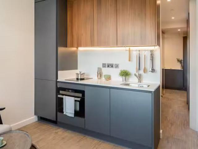 New 1 BA Studio flat for rent in Enclave: Croydon, College Roa.