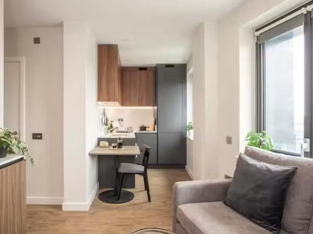 New 1 BA Studio flat for rent in Enclave: Croydon, College Roa.