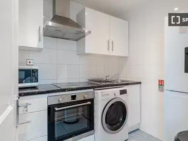 Unique 1 BR 1 bedroom apartment for rent in Abingdon, London