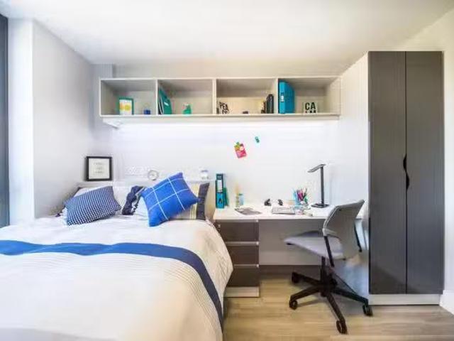 Cozy 1 BR Vi Be Student Living Standard Studio