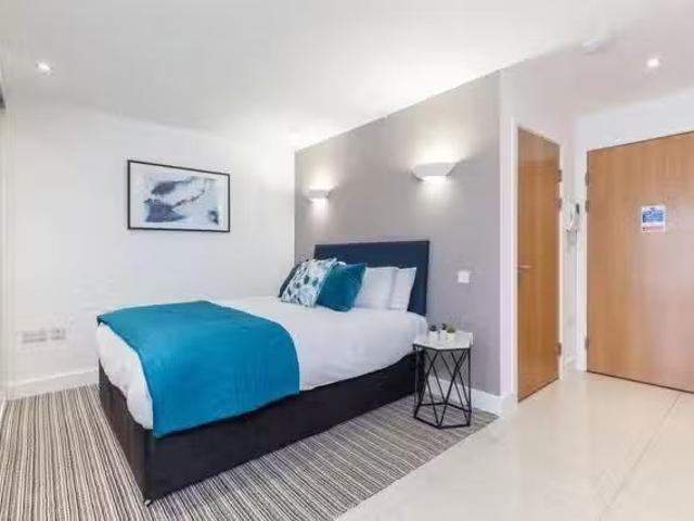Charming 1 BR Division Lane Apartments Studio
