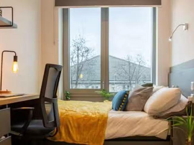 New 1 BR Gold Skyline Studio