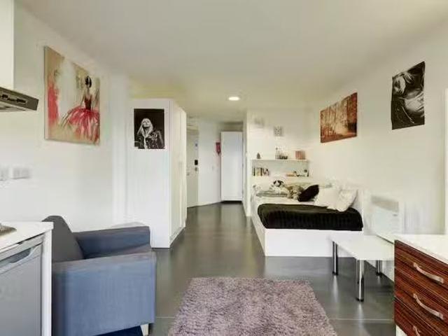 Cheap 1 BR Lucas Studios Silver Studio