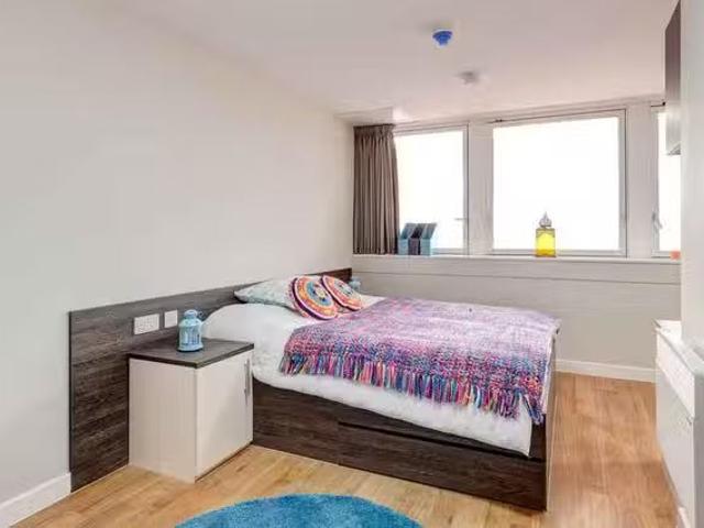 For Rent! 1 BR Superior Studio