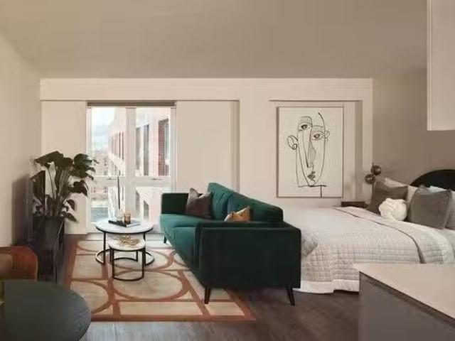 Charming 1 BR Sylvester Street 27366# Studio