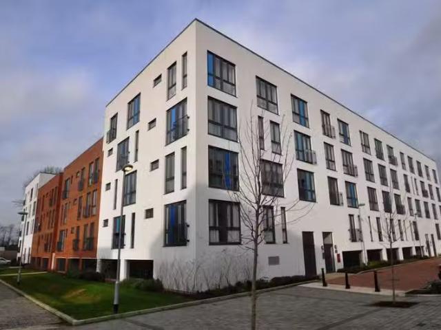Unique 2 BA 2 bedroom apartment for rent in Salvisberg Court.