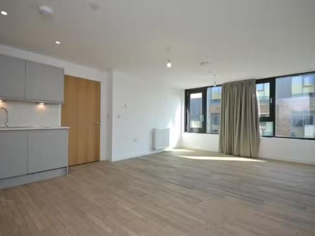 Unique 2 BA 2 bedroom flat for rent in Redcliff Street, Bristo.