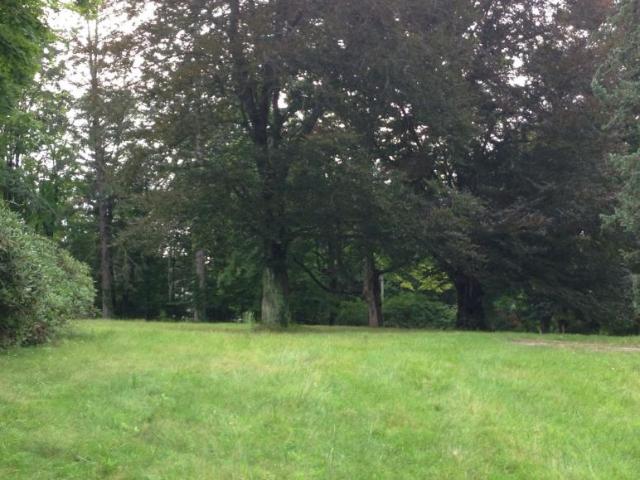 New Canaan CT 101882988