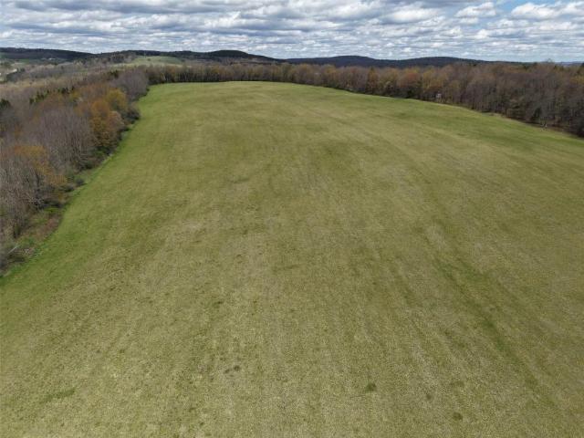New Berlin NY 13843 LS101986475