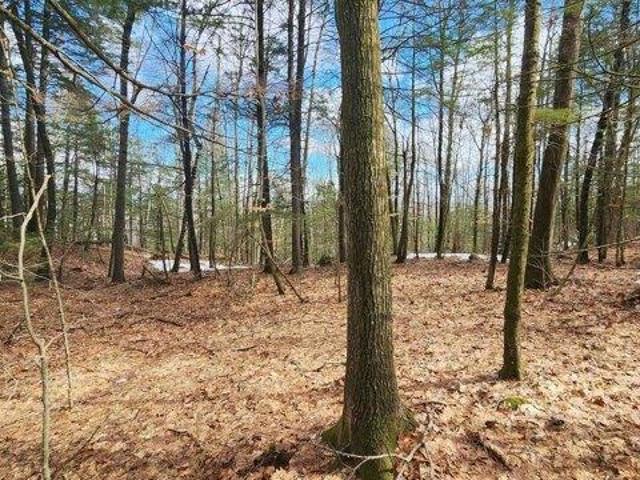 New Durham NH 03855 LS102284212