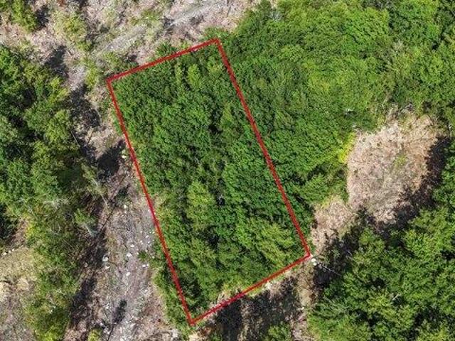New Durham NH 03855 103127025