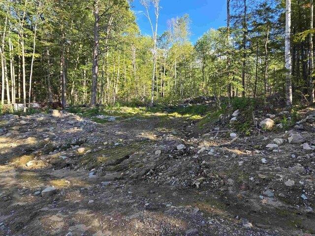New Durham NH 03855 104539921