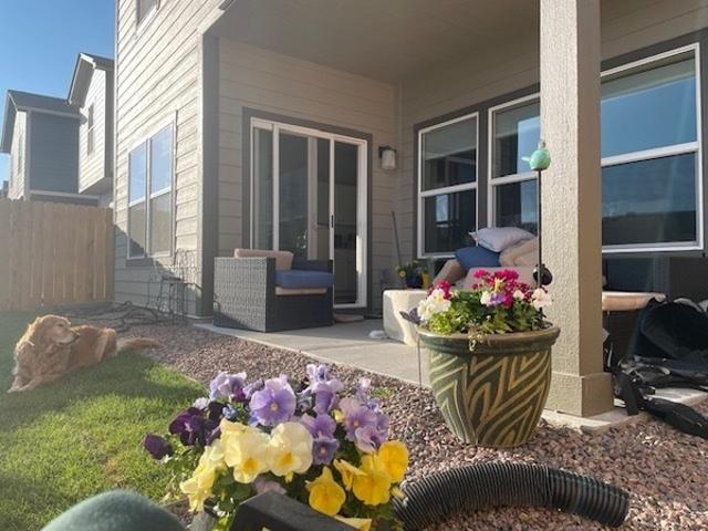 New House roomate for upper level